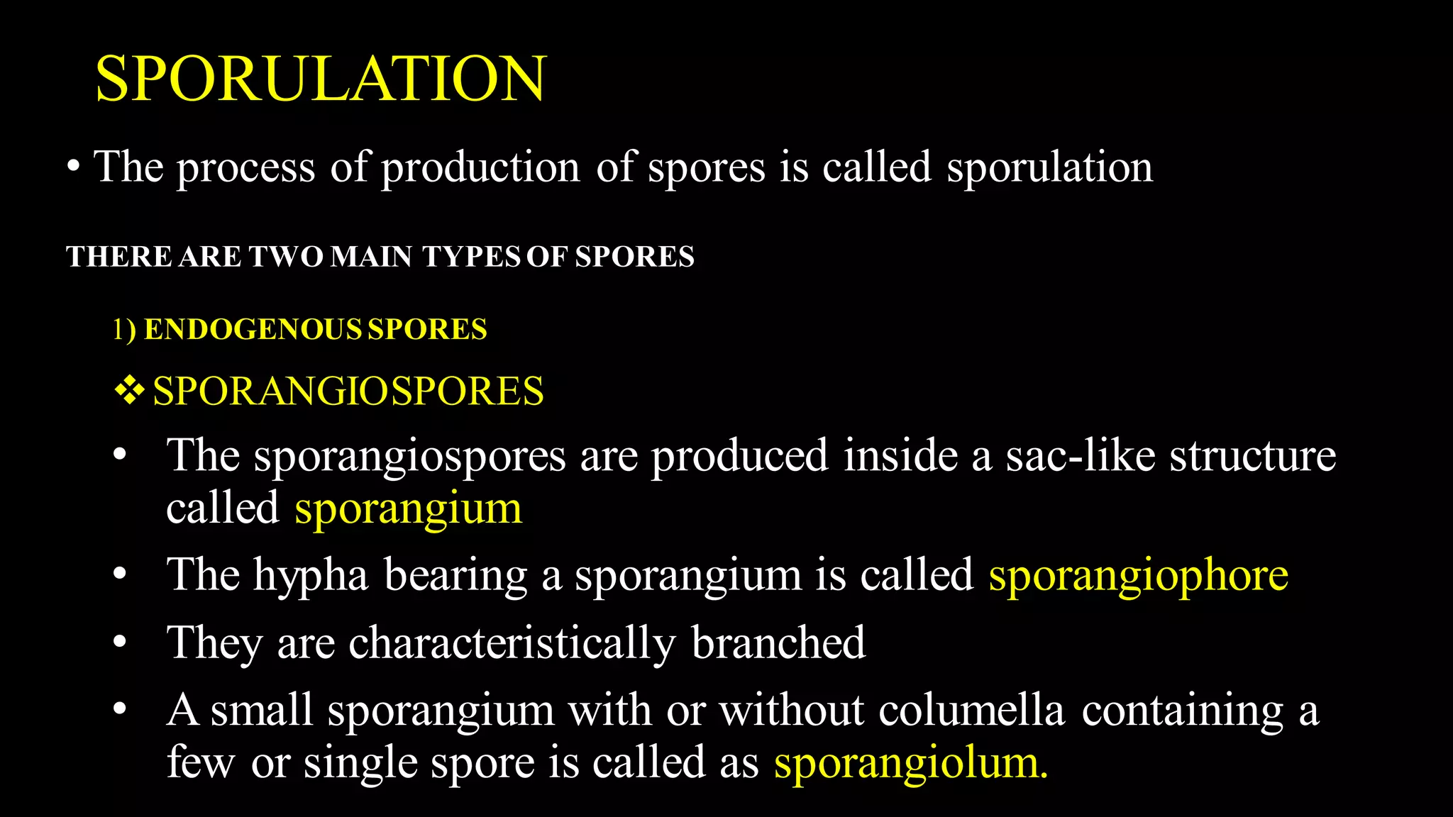 ASEXUAL REPRODUCTION IN FUNGI.pdf
