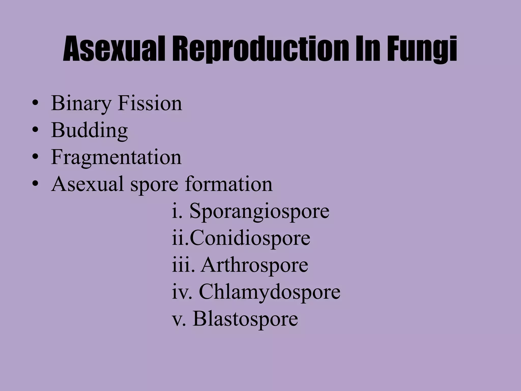 ASEXUAL REPRODUCTION IN FUNGI.ppt.pptx