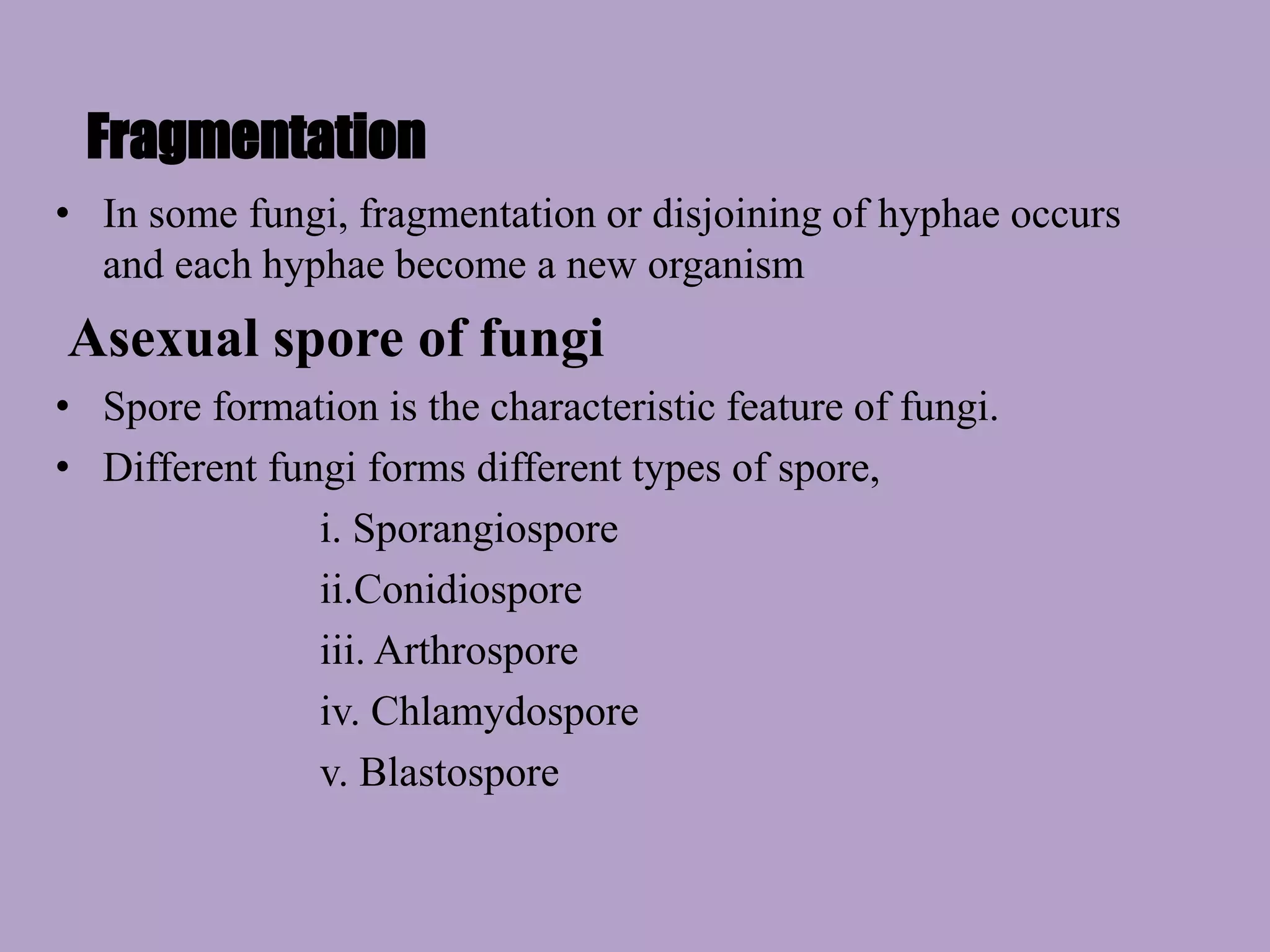 ASEXUAL REPRODUCTION IN FUNGI.ppt.pptx