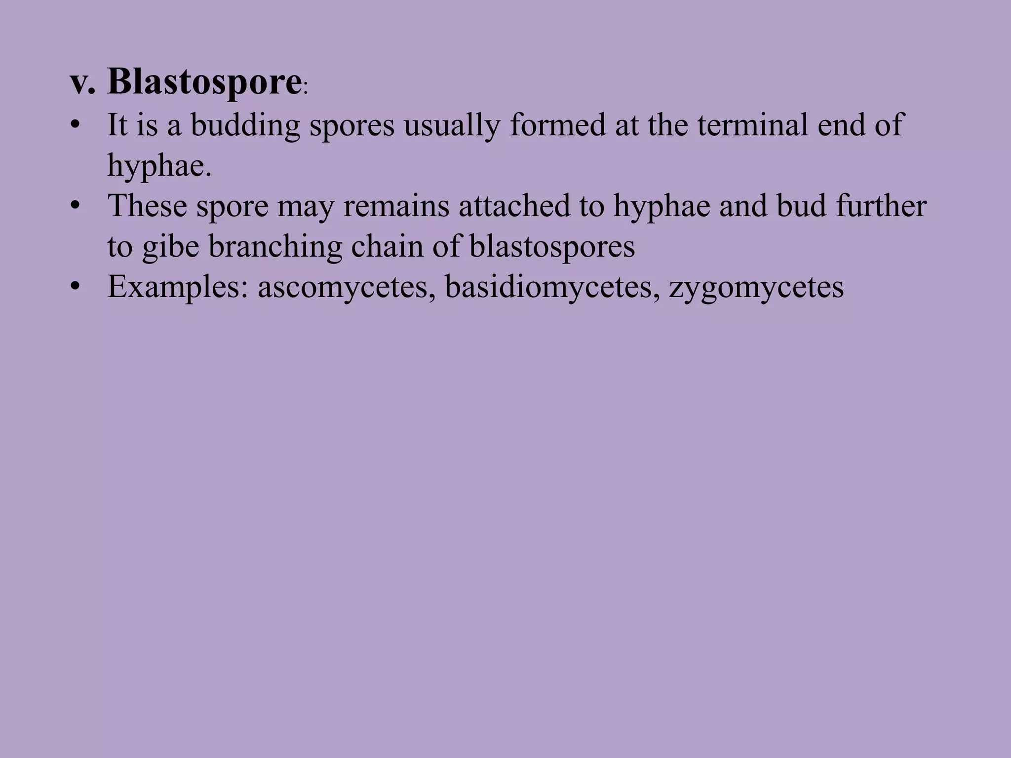 ASEXUAL REPRODUCTION IN FUNGI.ppt.pptx