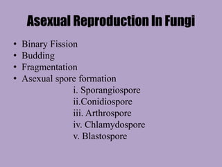ASEXUAL REPRODUCTION IN FUNGI.ppt.pptx