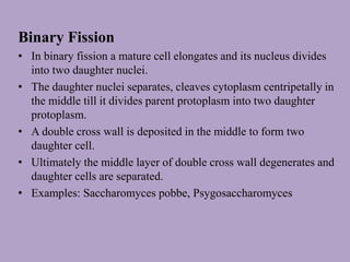 ASEXUAL REPRODUCTION IN FUNGI.ppt.pptx