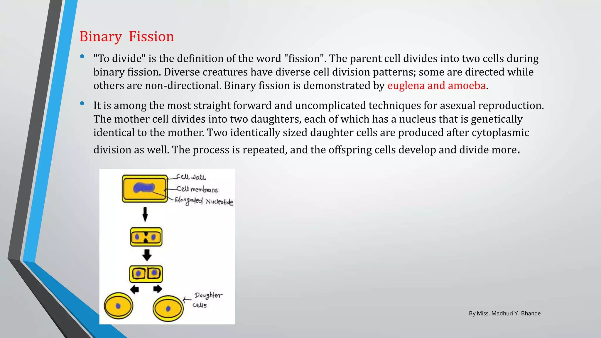 ASEXUAL REPRODUCTION IN LIVING ORGANISM.pptx | Infertility ...