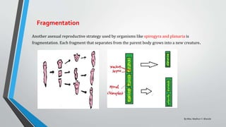 ASEXUAL REPRODUCTION IN LIVING ORGANISM.pptx | Infertility ...