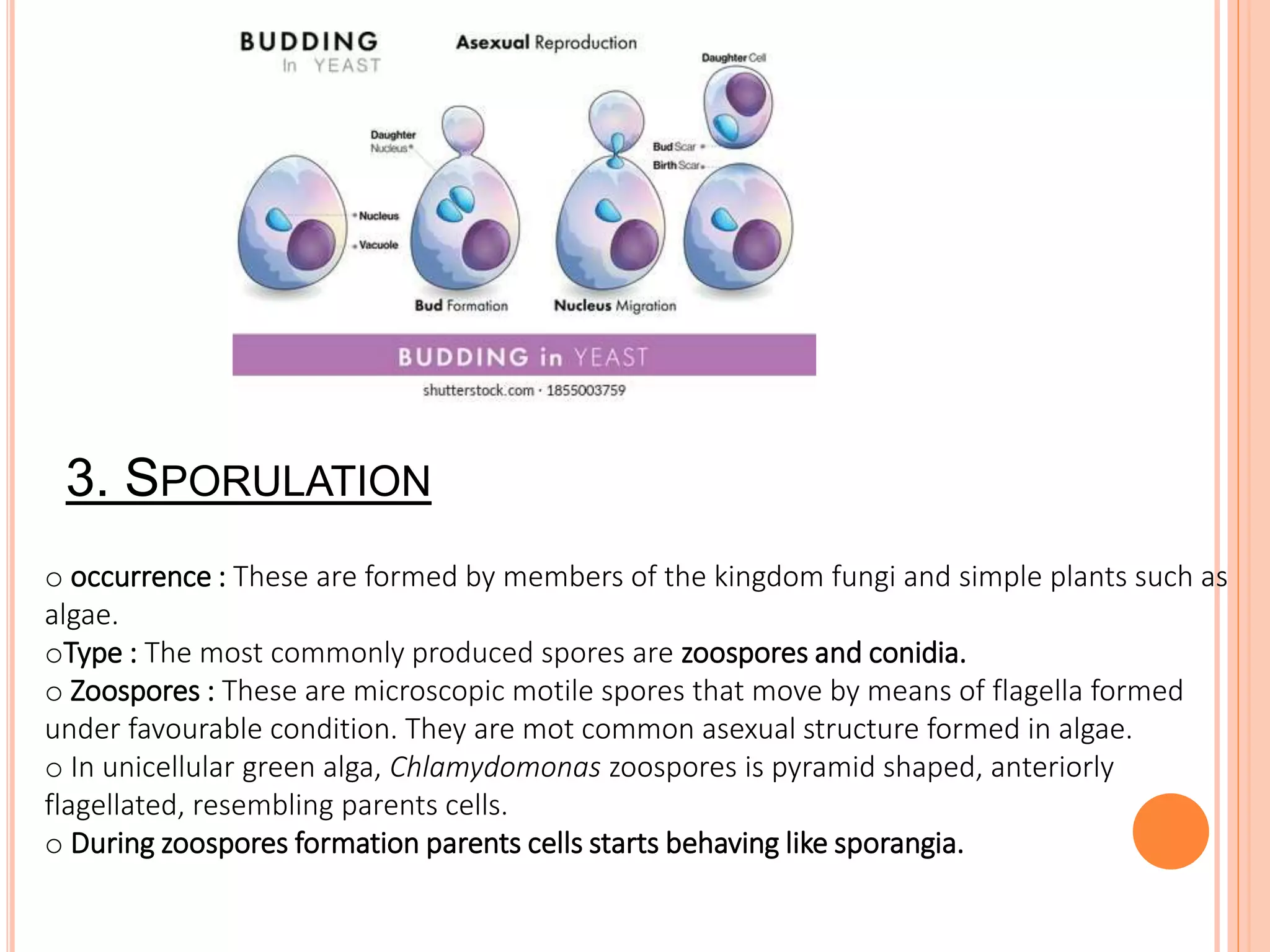 Asexual reproduction in Plant.pptx | Infertility | Reproductive Health