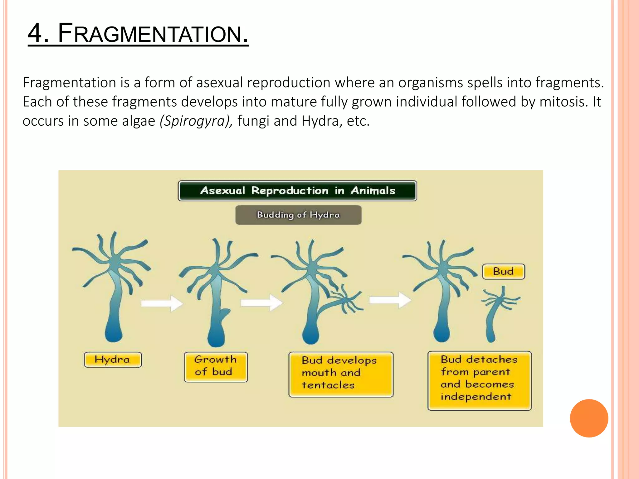 Asexual reproduction in Plant.pptx | Infertility | Reproductive Health