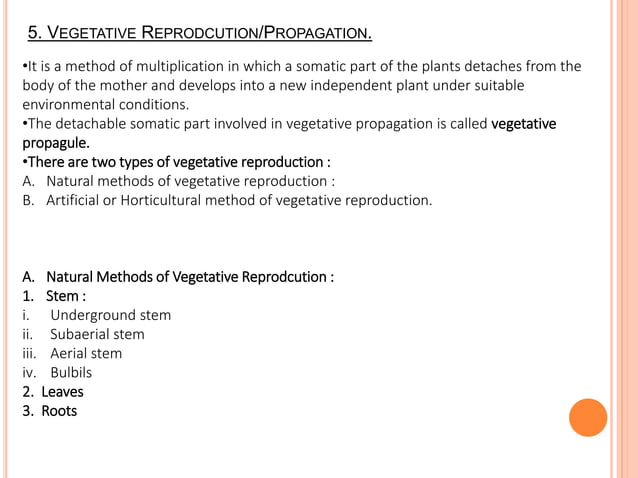 Asexual reproduction in Plant.pptx