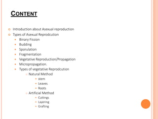Asexual reproduction in Plant.pptx