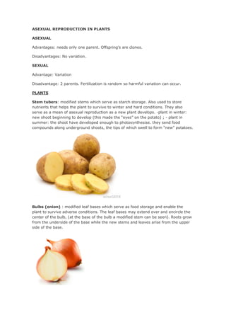 Asexualreproductioninplants.docx