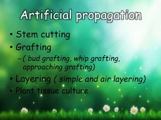 Asexual reproduction in plants | PDF