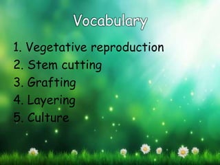 Asexual reproduction in plants | PPTX