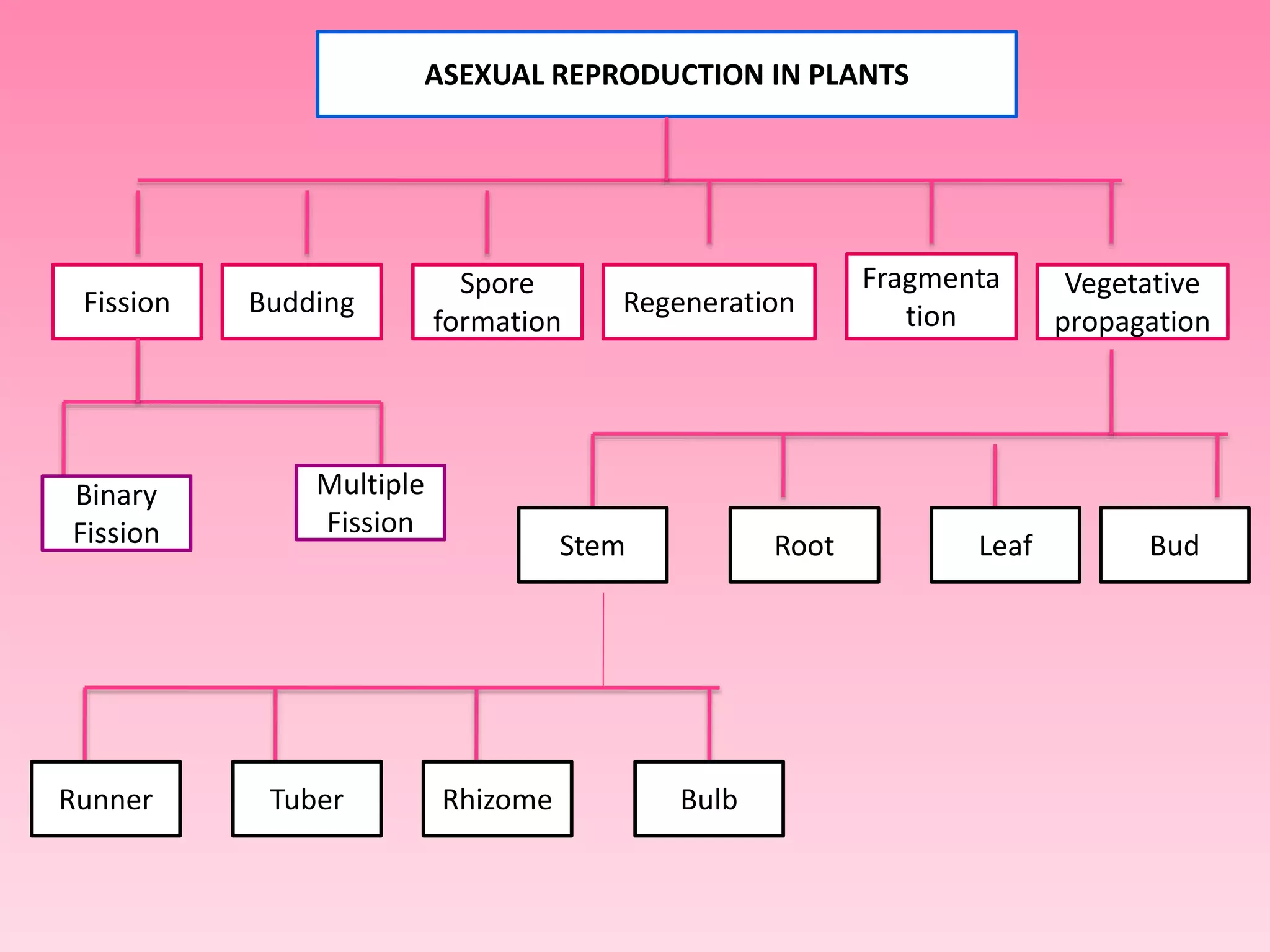 Asexual reproduction in plants | PPTX