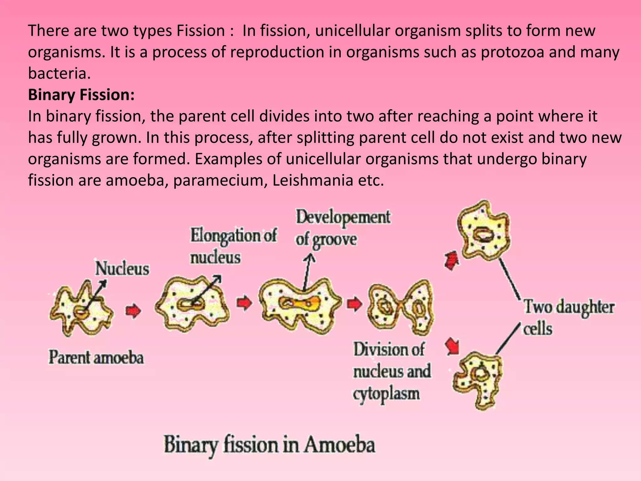 Asexual reproduction in plants | PPTX