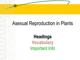 asexualreproductioninffffffffffplants.ppt