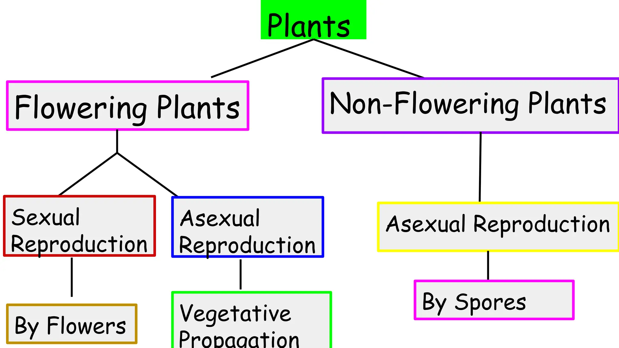 Asexual Reproduction in Plants for primary level.pptx