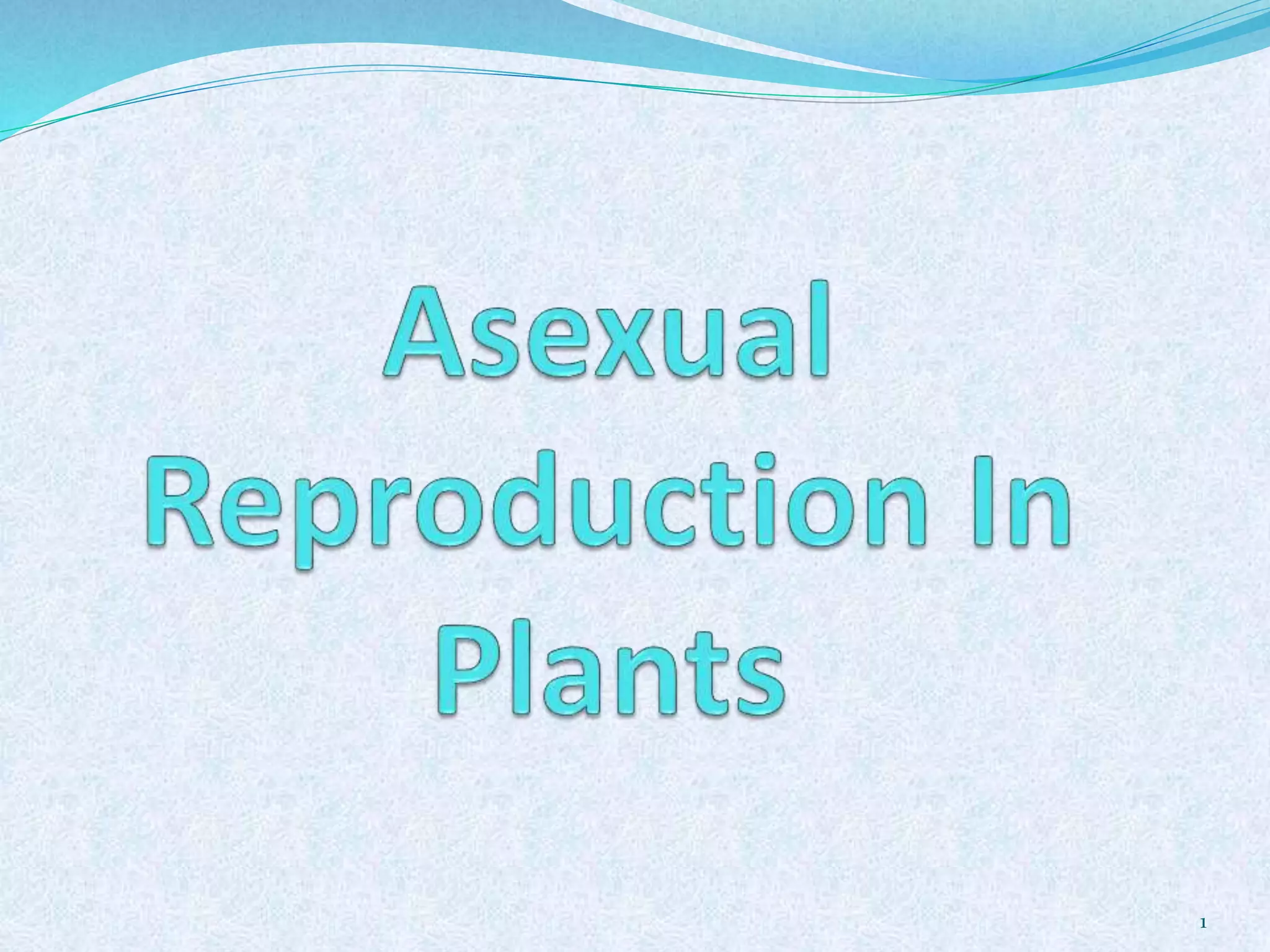 Asexual Reproduction in Plants (Quick Rivew) | PPTX | Infertility ...