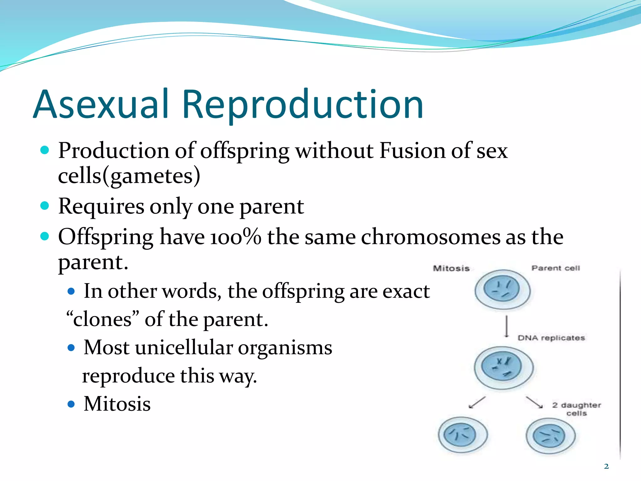 Asexual Reproduction in Plants (Quick Rivew) | PPTX