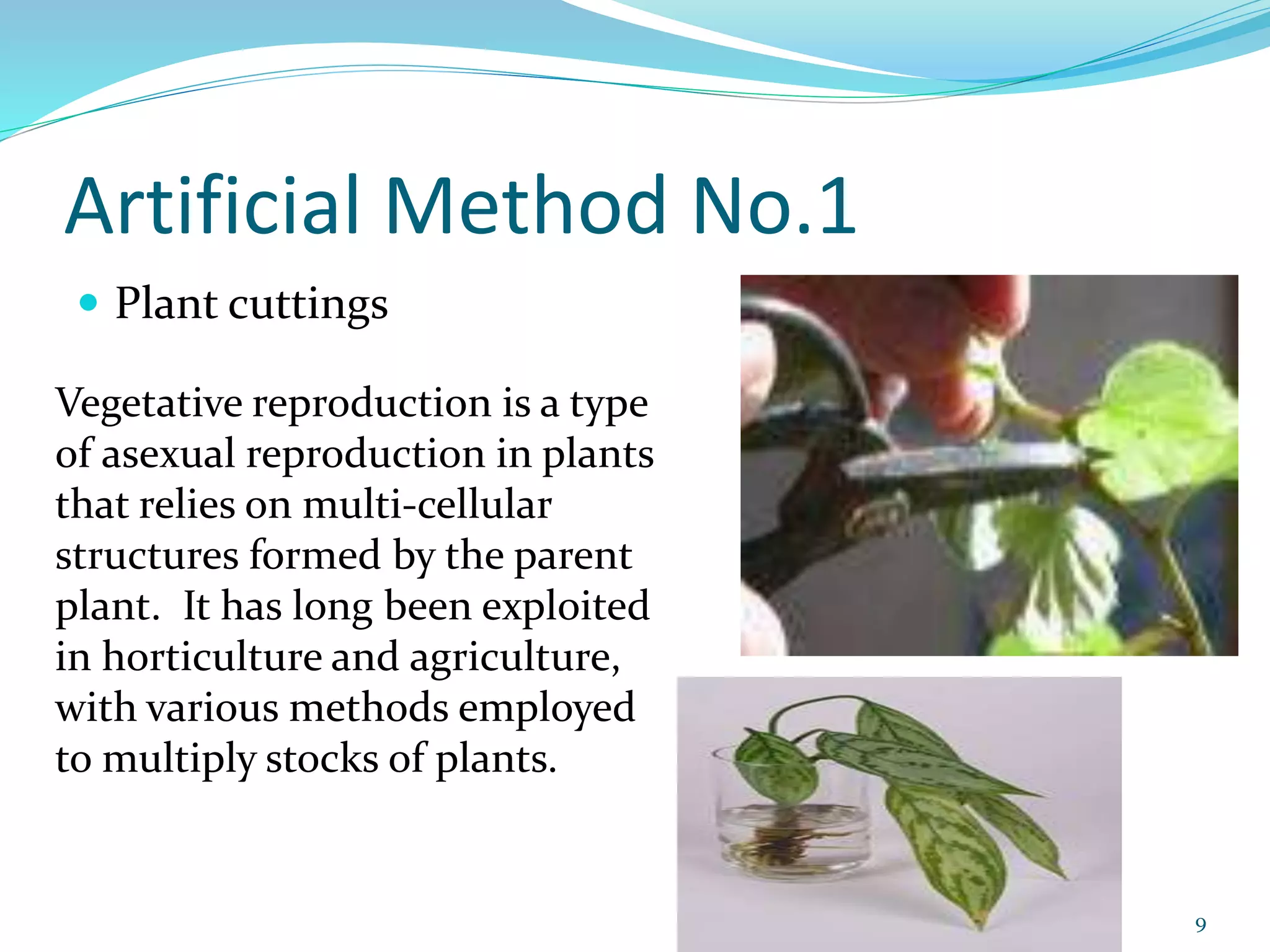 Asexual Reproduction in Plants (Quick Rivew) | PPTX