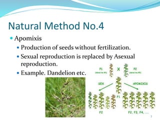 Asexual Reproduction in Plants (Quick Rivew) | PPTX | Infertility ...