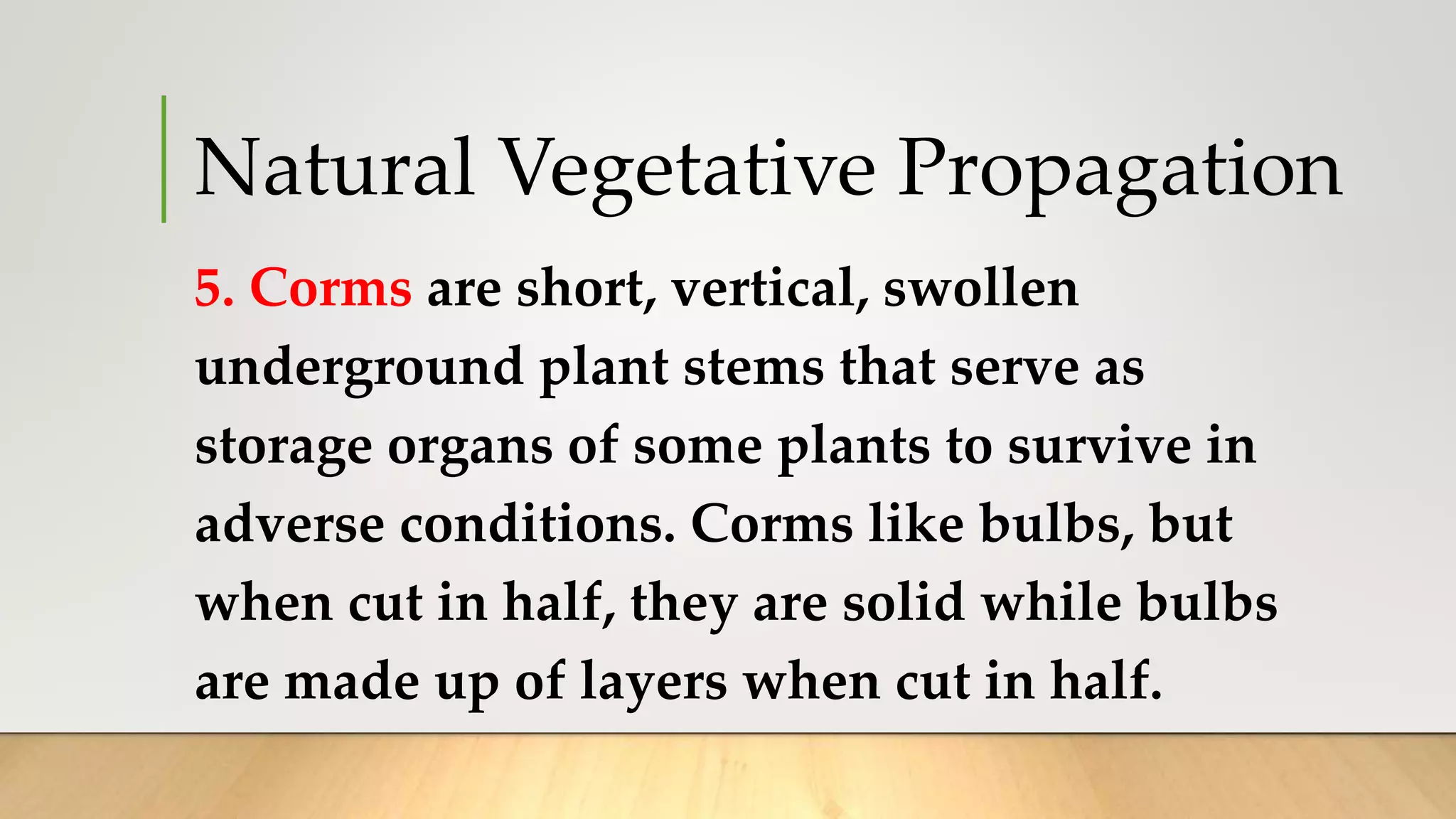 Asexual reproduction of plants | PPTX