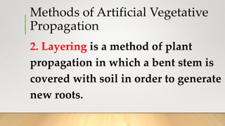 Asexual reproduction of plants | PPTX