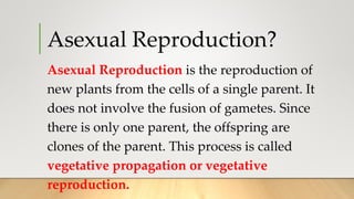Asexual reproduction of plants | PPTX