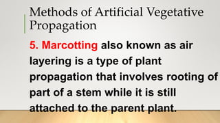 Asexual reproduction of plants | PPTX