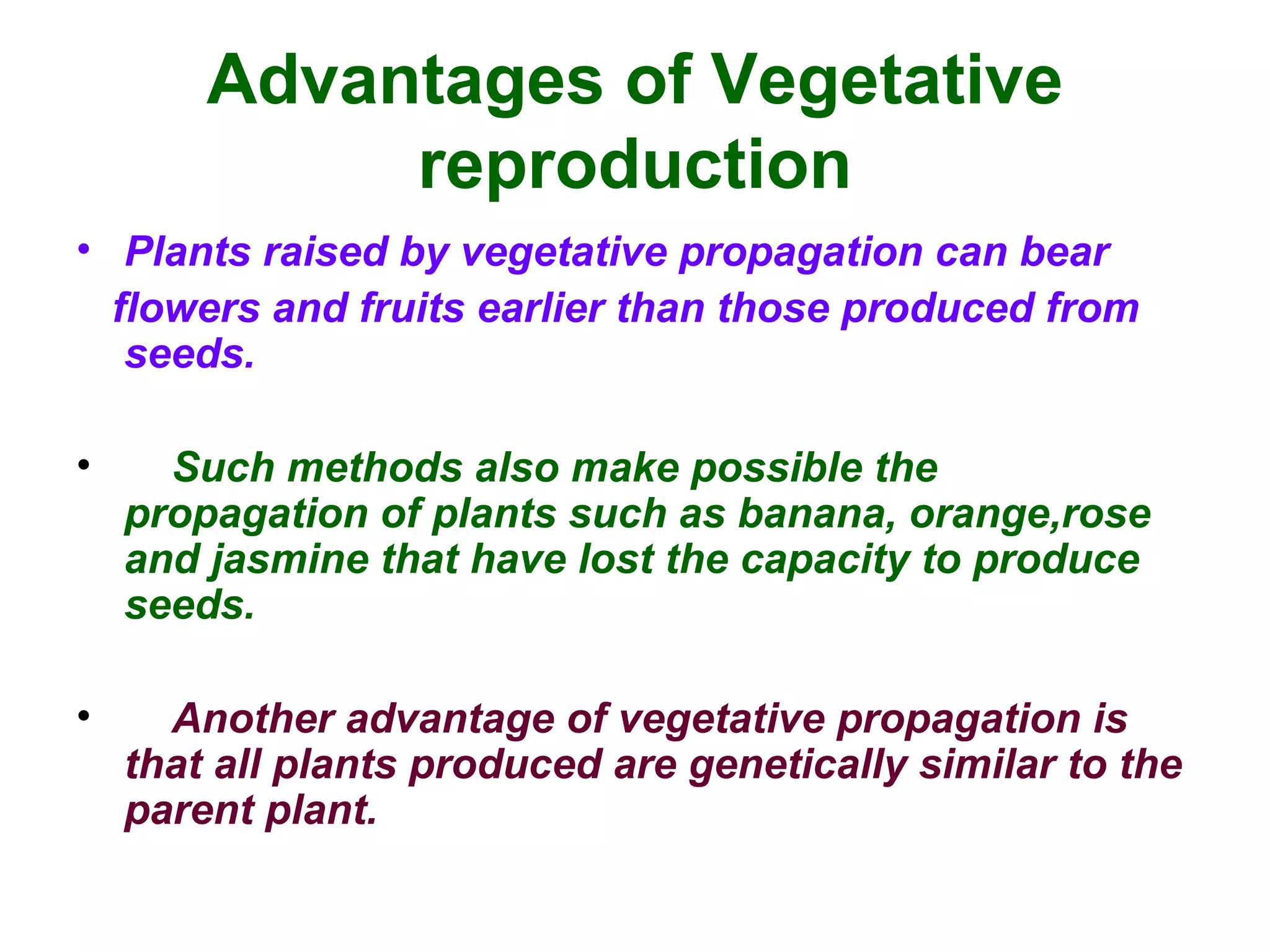 Asexual reproduction ppt | PPT | Reproductive Health | Diseases and ...