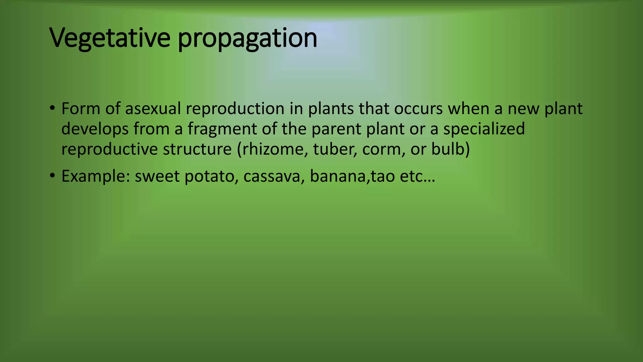 asexual reproduction ppt.pptx