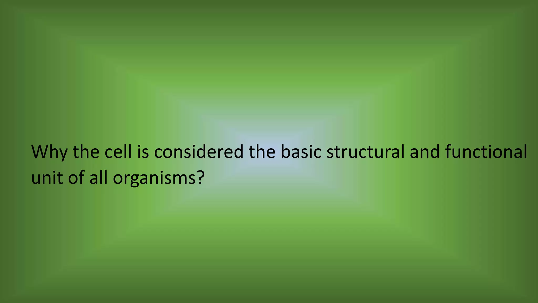 asexual reproduction ppt.pptx