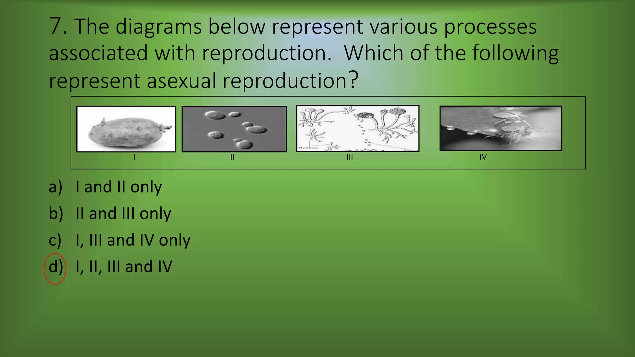 asexual reproduction ppt.pptx
