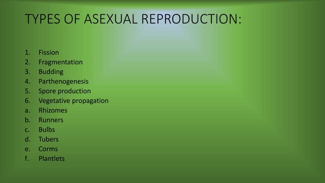 asexual reproduction ppt.pptx