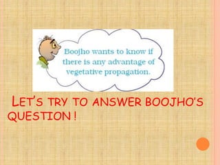 ASEXUAL REPRODUCTION PPT 1 for educational purposes | PPT