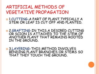 ASEXUAL REPRODUCTION PPT 1 for educational purposes | PDF