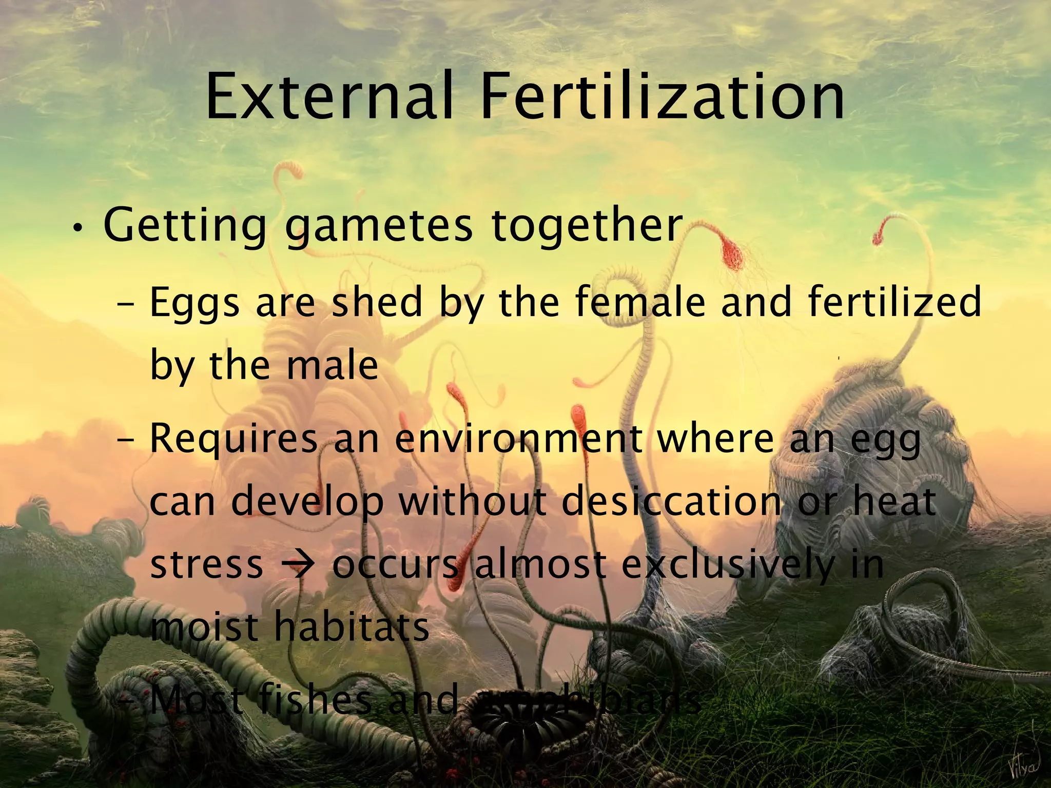 Asexual Vs Sexual Reproduction | PPT