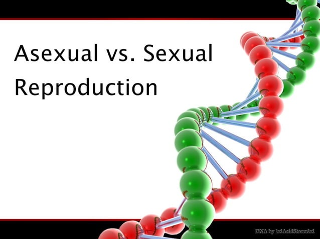 Asexual Vs Sexual Reproduction | PPT | Infertility | Reproductive Health