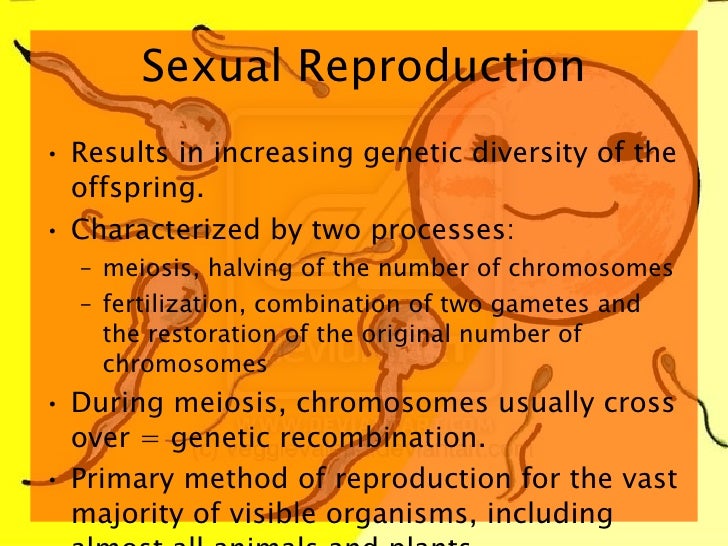 Asexual Vs Sexual Reproduction