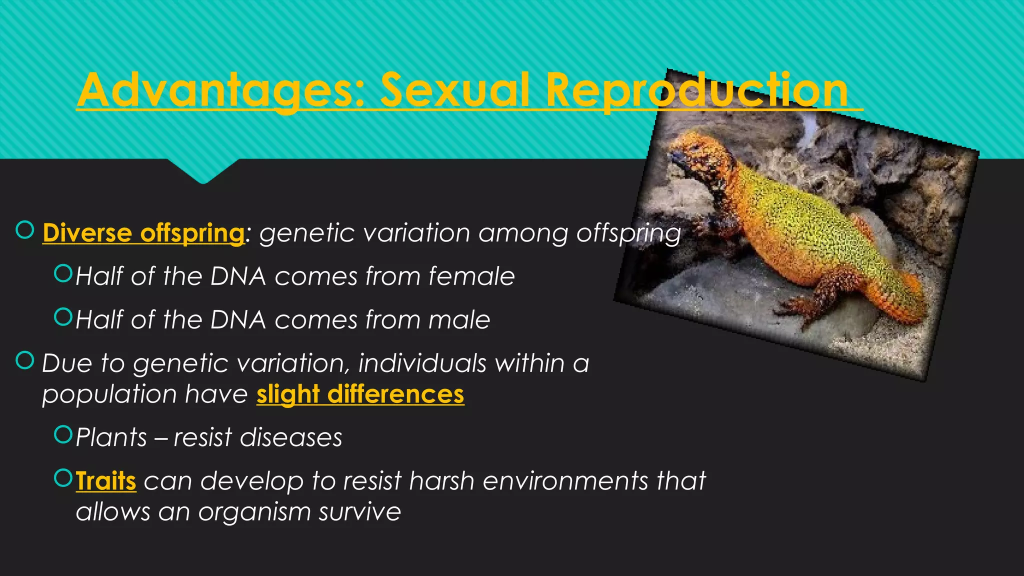 L.HE.M.2 Asexual vs Sexual Reproduction | PPT