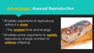 L.HE.M.2 Asexual vs Sexual Reproduction | PPT
