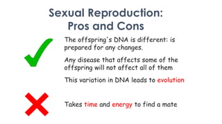 Asexual vs Sexual Reproduction | PPTX