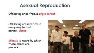 Asexual vs Sexual Reproduction | PPT