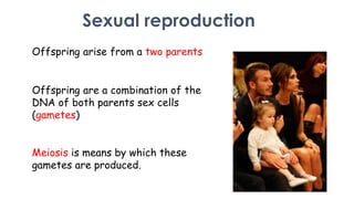 Asexual vs Sexual Reproduction | PPTX