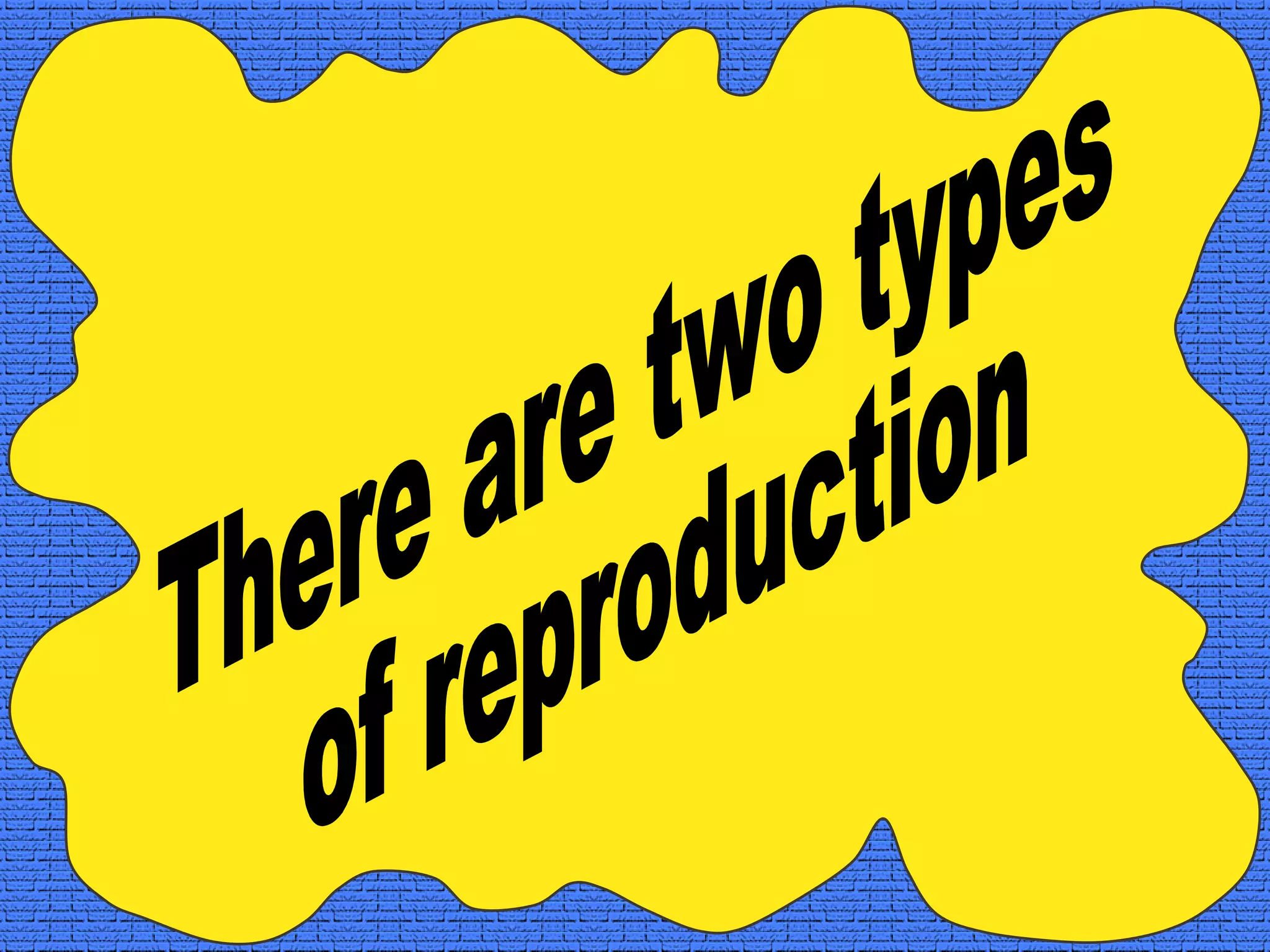 Asexual Vs Sexual Reproduction Ppt