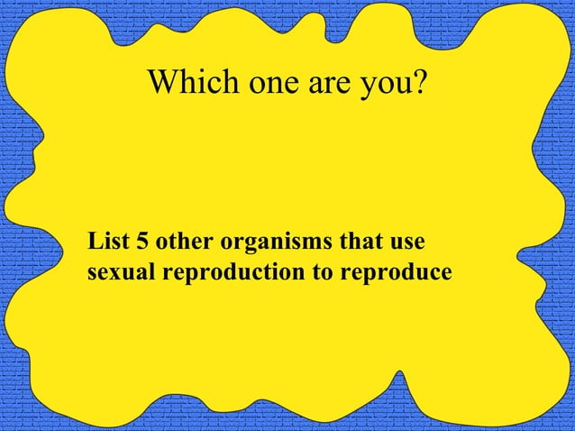 Asexual Vs Sexual Reproduction Ppt