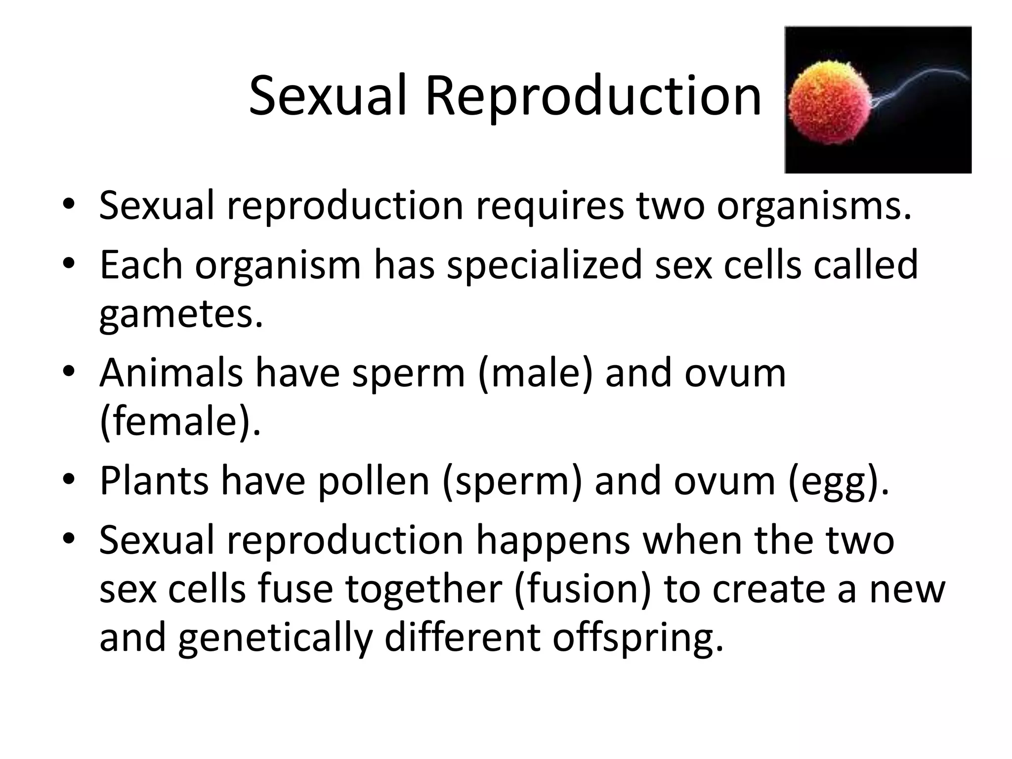 Asexual vs Sexual Reproduction | PPTX