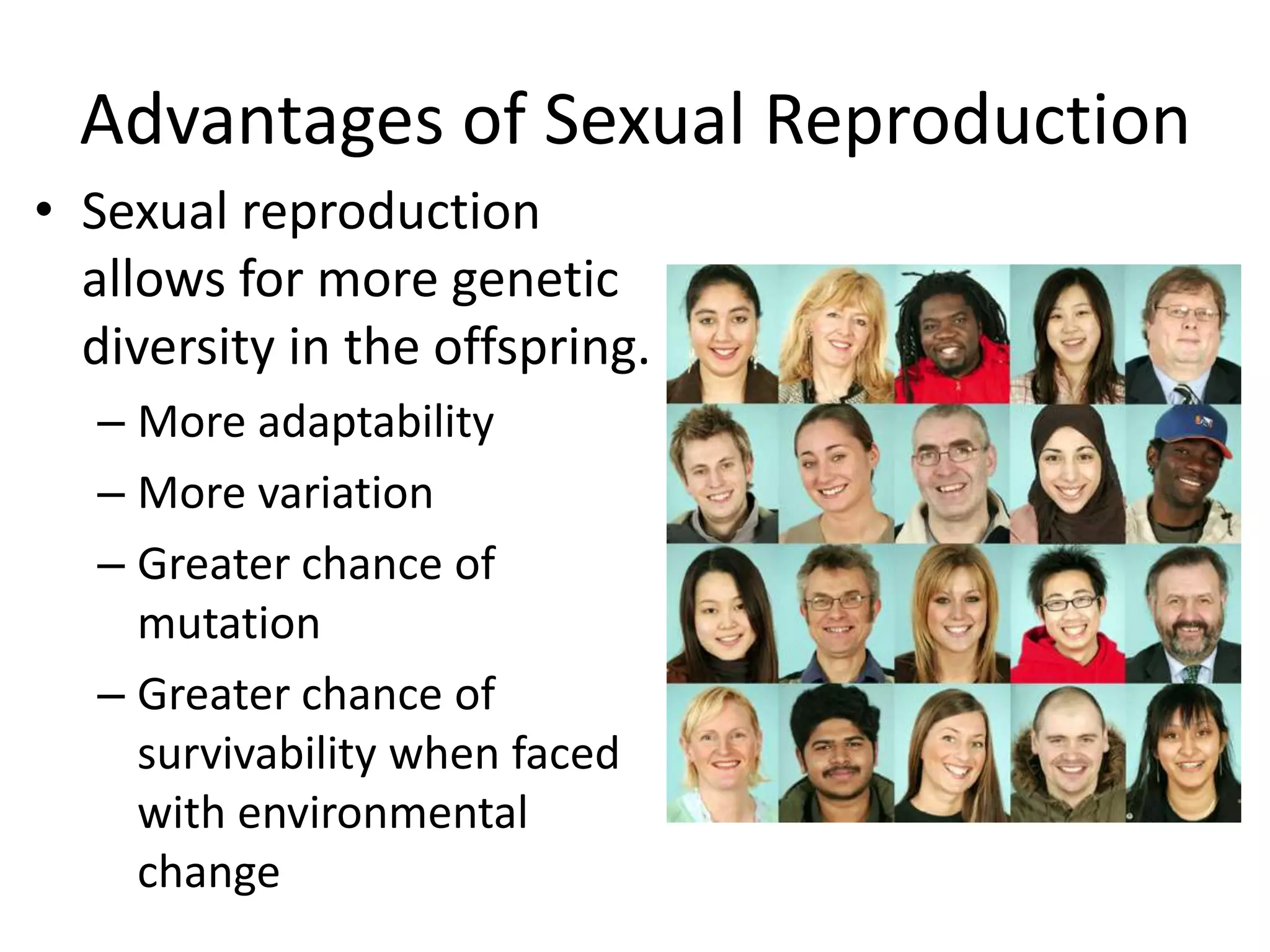 Asexual vs Sexual Reproduction | PPTX
