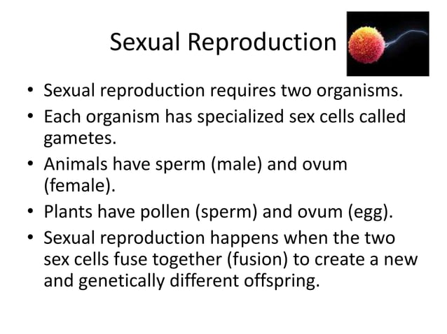 Asexual vs Sexual Reproduction | PPTX