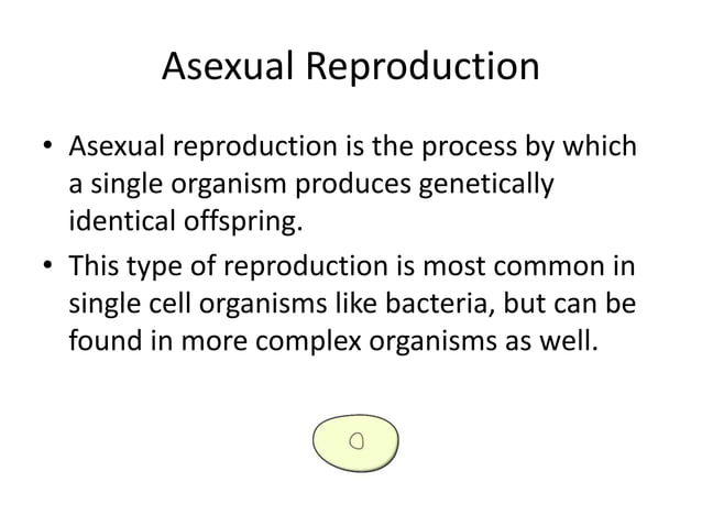 Asexual vs Sexual Reproduction | PPTX