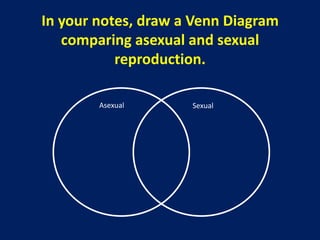 Asexual vs Sexual Reproduction | PPTX