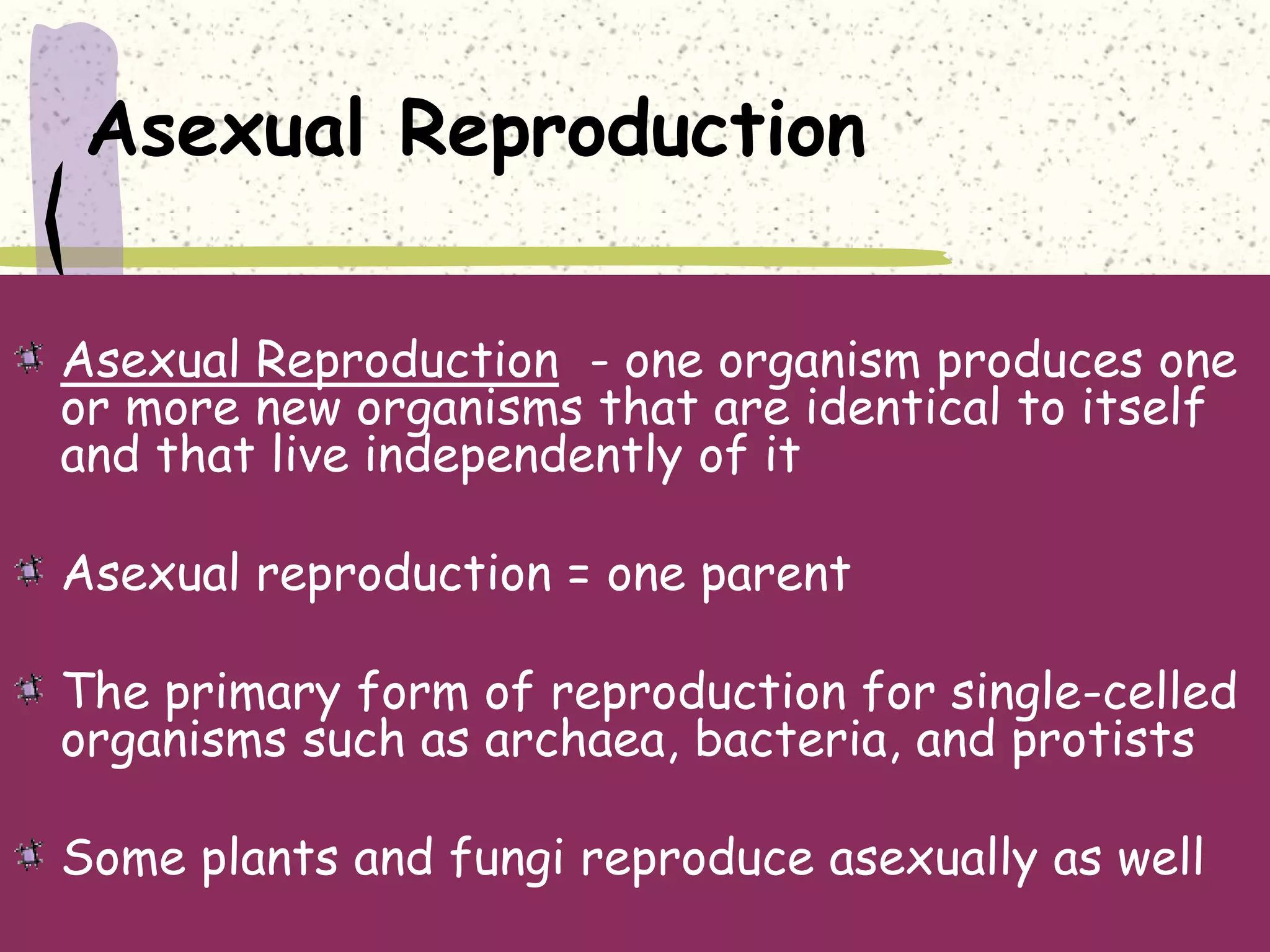 Asexual vs Sexual Reproduction.ppt